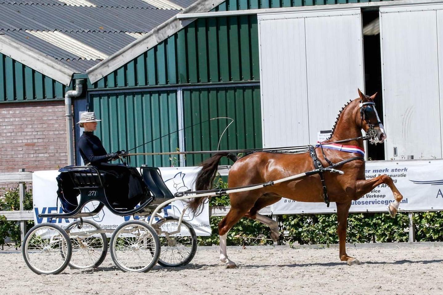 Julant W wint NK Young Riders – Stal Fanita Hoeve